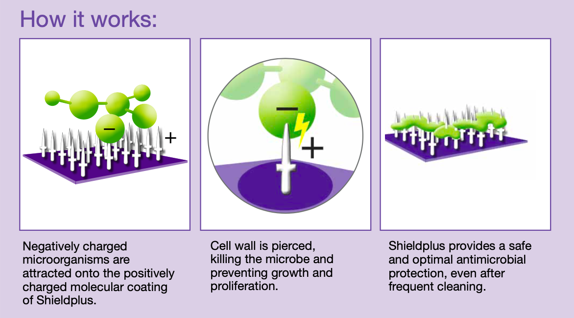 Manage your business more safely with Shieldplus Antimicrobial Cleaning ...